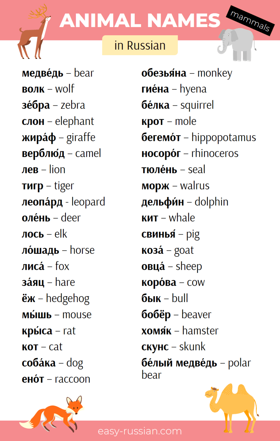Animals in Russian | 100+ Different Names | Vocabulary List