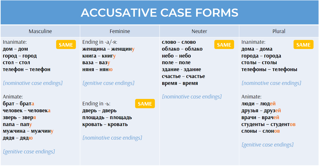 The Comprehensive Guide To The Accusative Case In Russian
