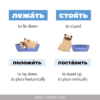 An Overview of Russian Positional Verbs